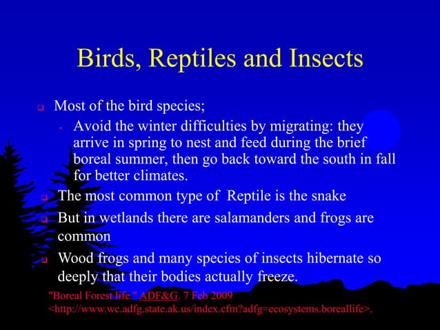 Biomes Project Example | PPTX