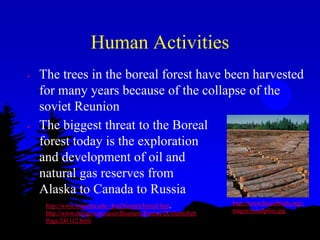 Biomes Project Example | PPTX