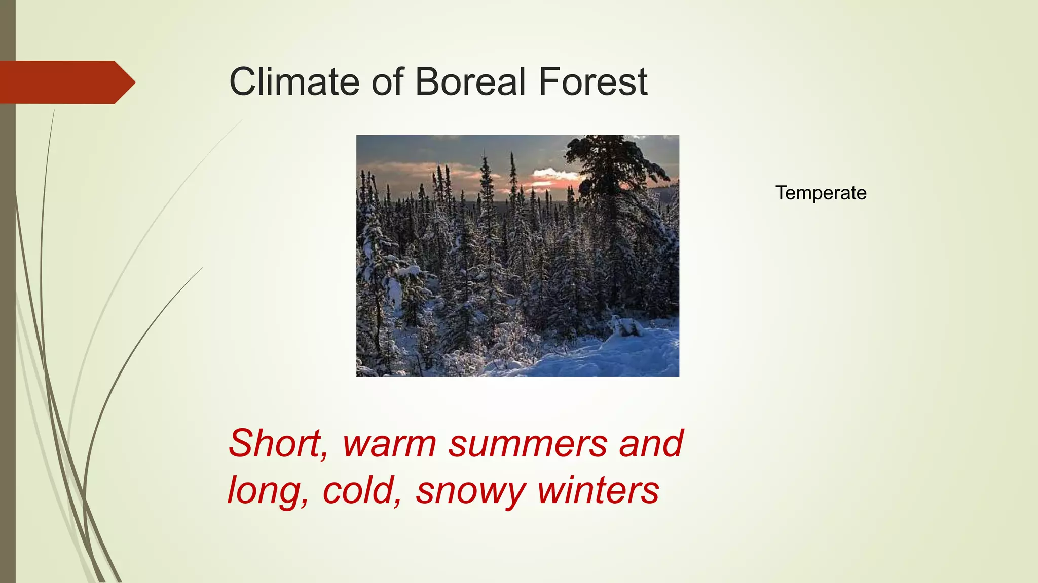 Boreal forest presentation final | PPTX