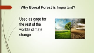 Boreal forest presentation final | PPTX