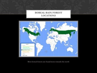 Boreal forrest biome | PPTX