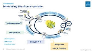 Borealis-Facts-and-Figures.pdf