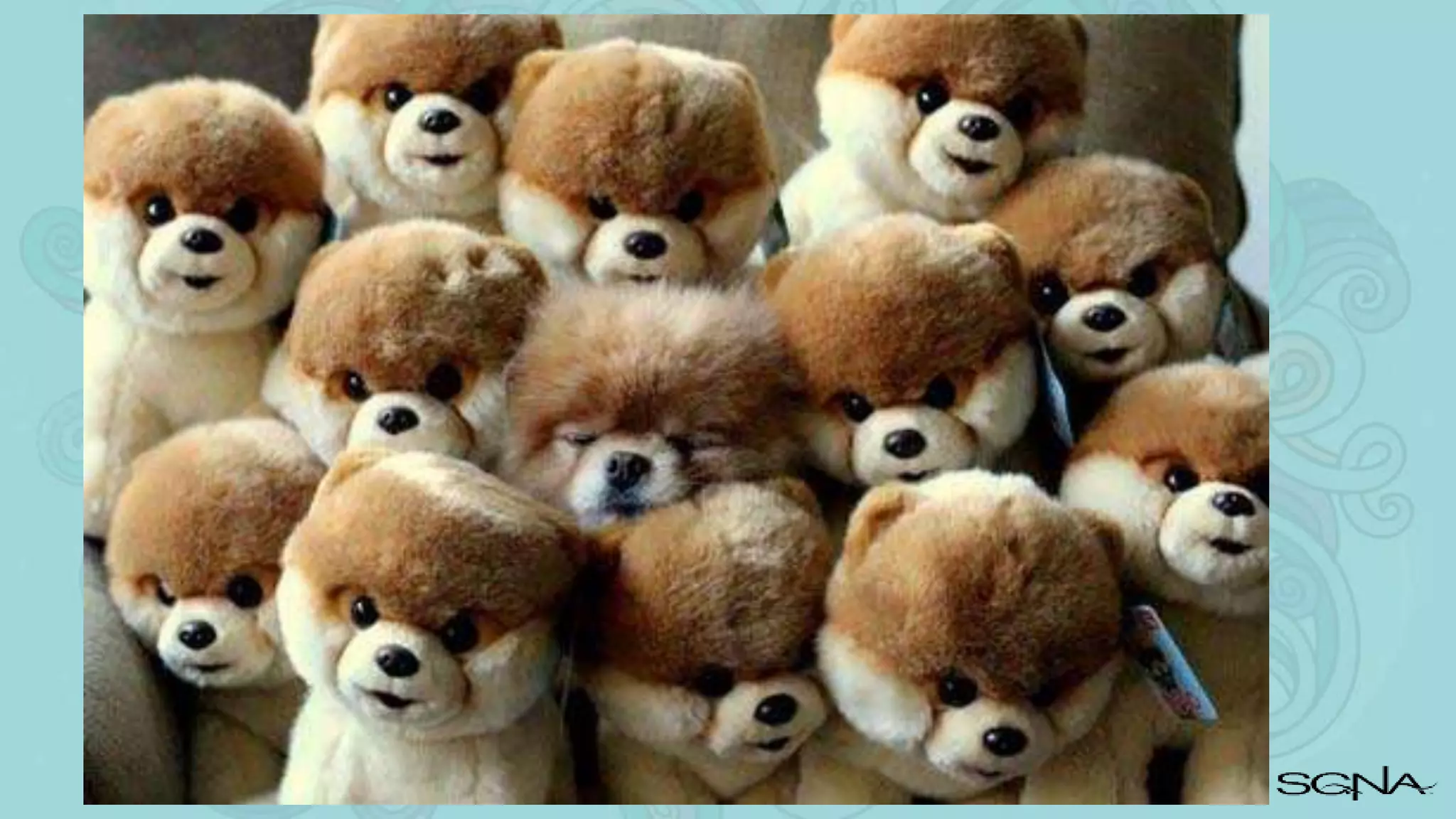 Bored with Barretts: Diagnosing Gastric Intestinal Metaplasia, Meckels ...