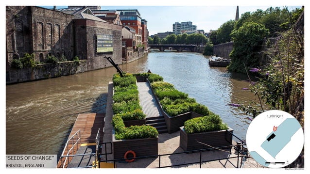 Final Defense | PDF | Landscaping | Home & Garden