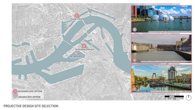 Final Defense | PDF | Landscaping | Home & Garden