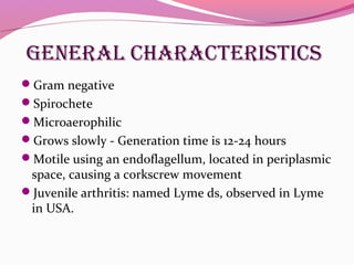 Borelliappt | PPT | Infectious Diseases | Diseases and Conditions