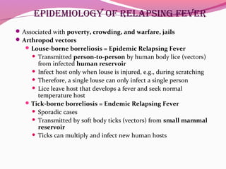Borelliappt | PPT | Infectious Diseases | Diseases and Conditions