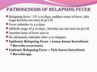 Borelliappt | PPT | Infectious Diseases | Diseases and Conditions