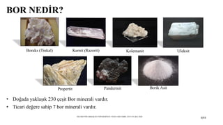 BORÜRLER-Emre AVCI | PDF