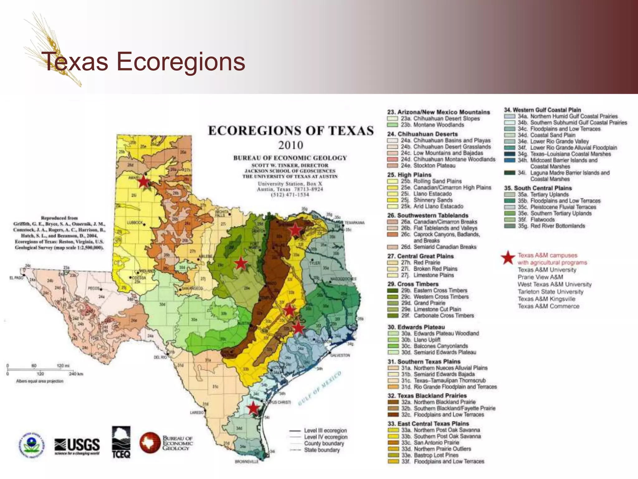Borlaug Institute Slide Presentation | PPTX