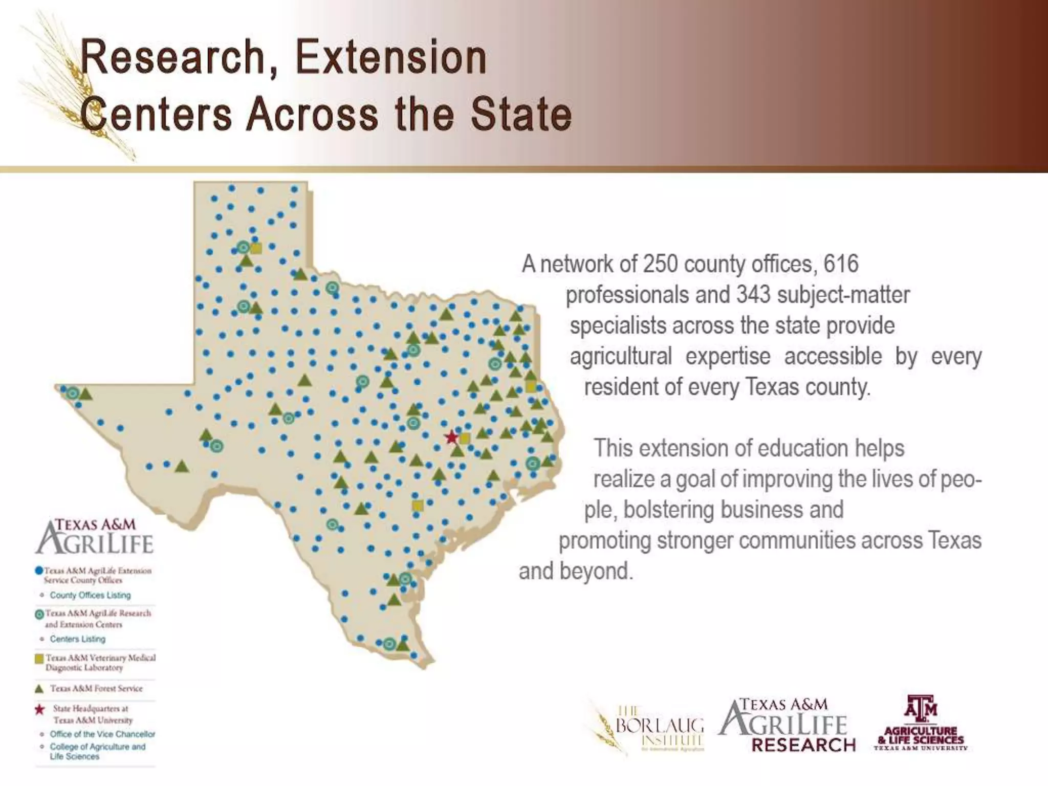 Borlaug Institute Slide Presentation | PPTX