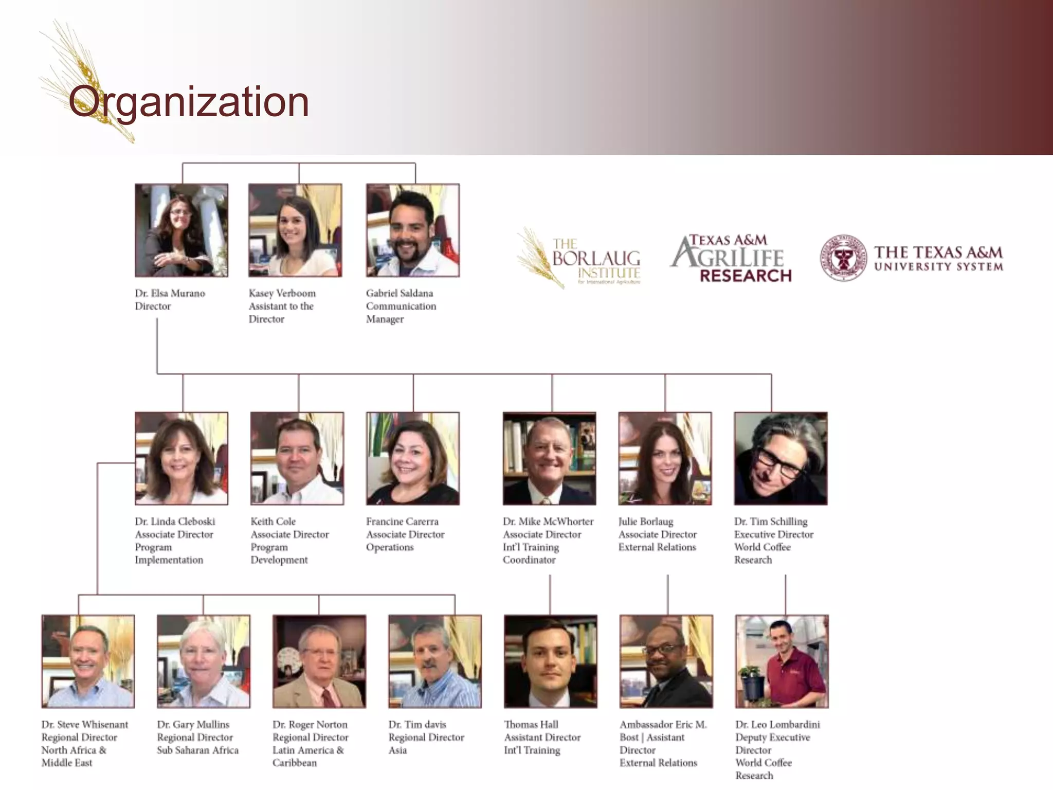 Borlaug Institute Slide Presentation | PPTX