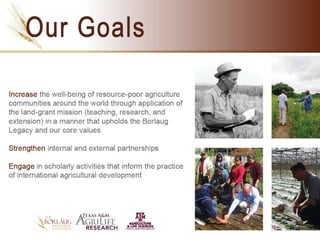Borlaug Institute Slide Presentation | PPTX