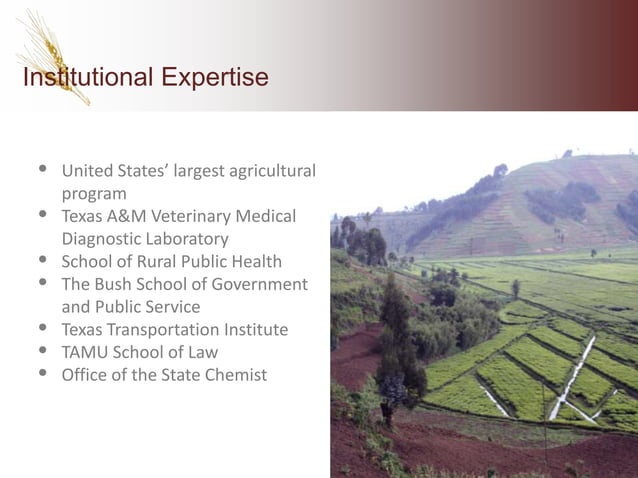 Borlaug Institute Slide Presentation | PPT