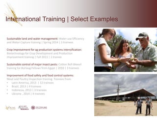 Borlaug Institute Slide Presentation | PPTX