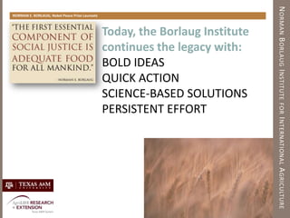 Borlaug Institute Overview July 2010 | PPT