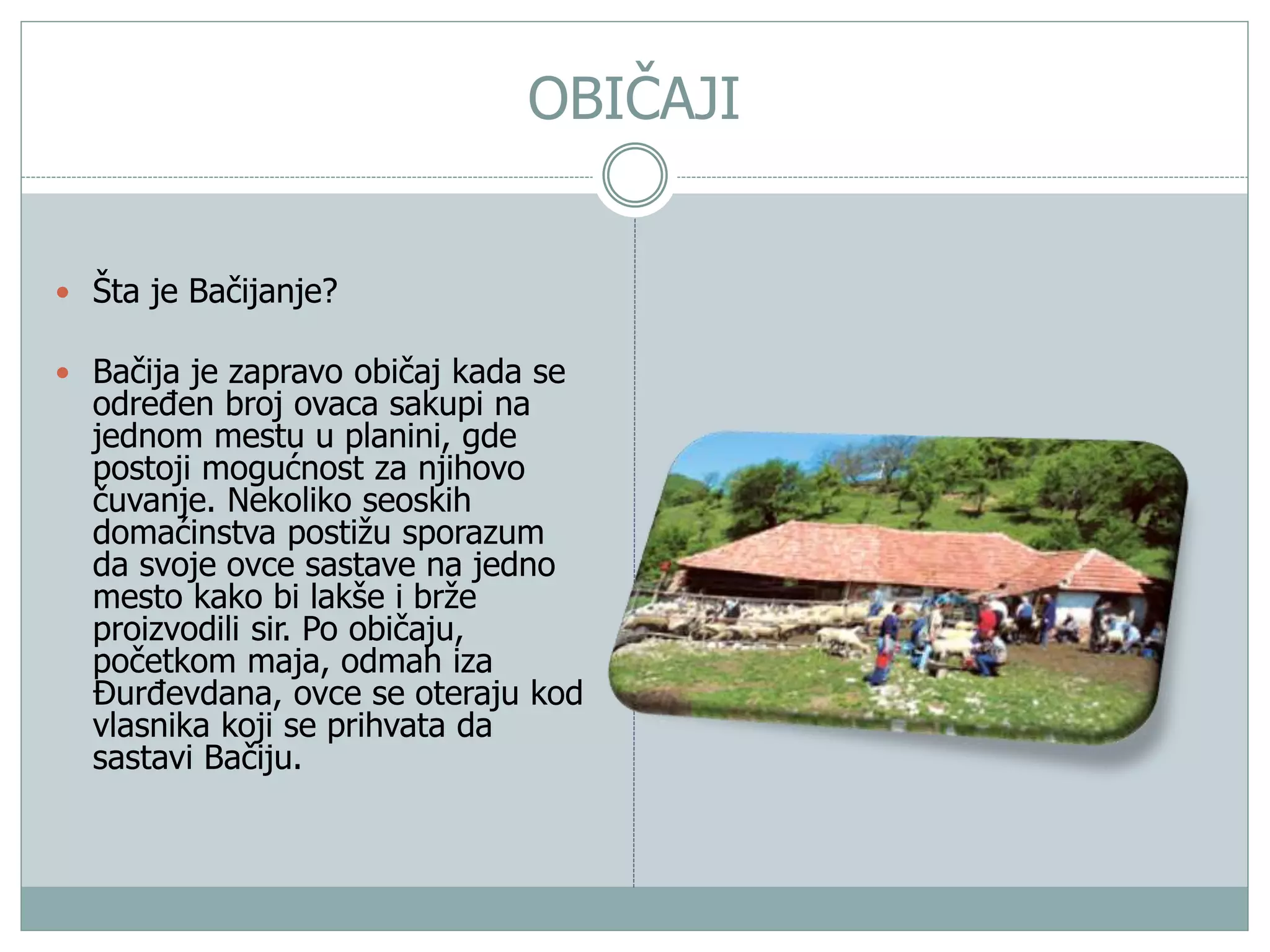 Bor moj grad copy | PPTX