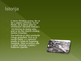 Bor moj grad copy | PPTX