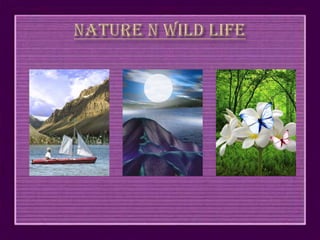 Born2Win Technologies | PPSX