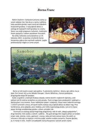 Borna Franc | PDF