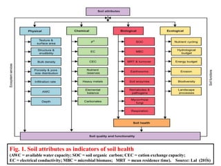 soil organic carbon- a key for sustainable soil quality under scenario ...
