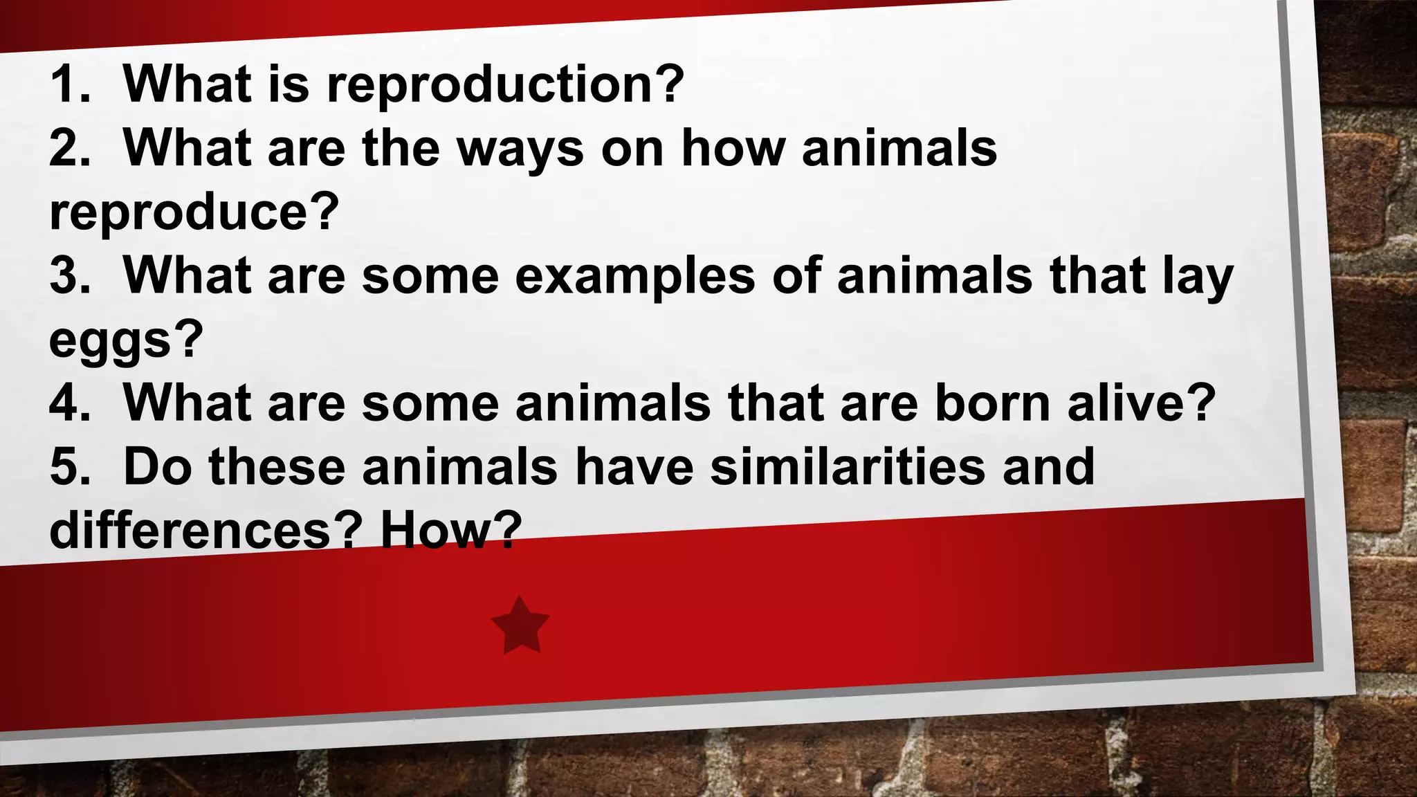 BORN ALIVE-EGGS.pptx