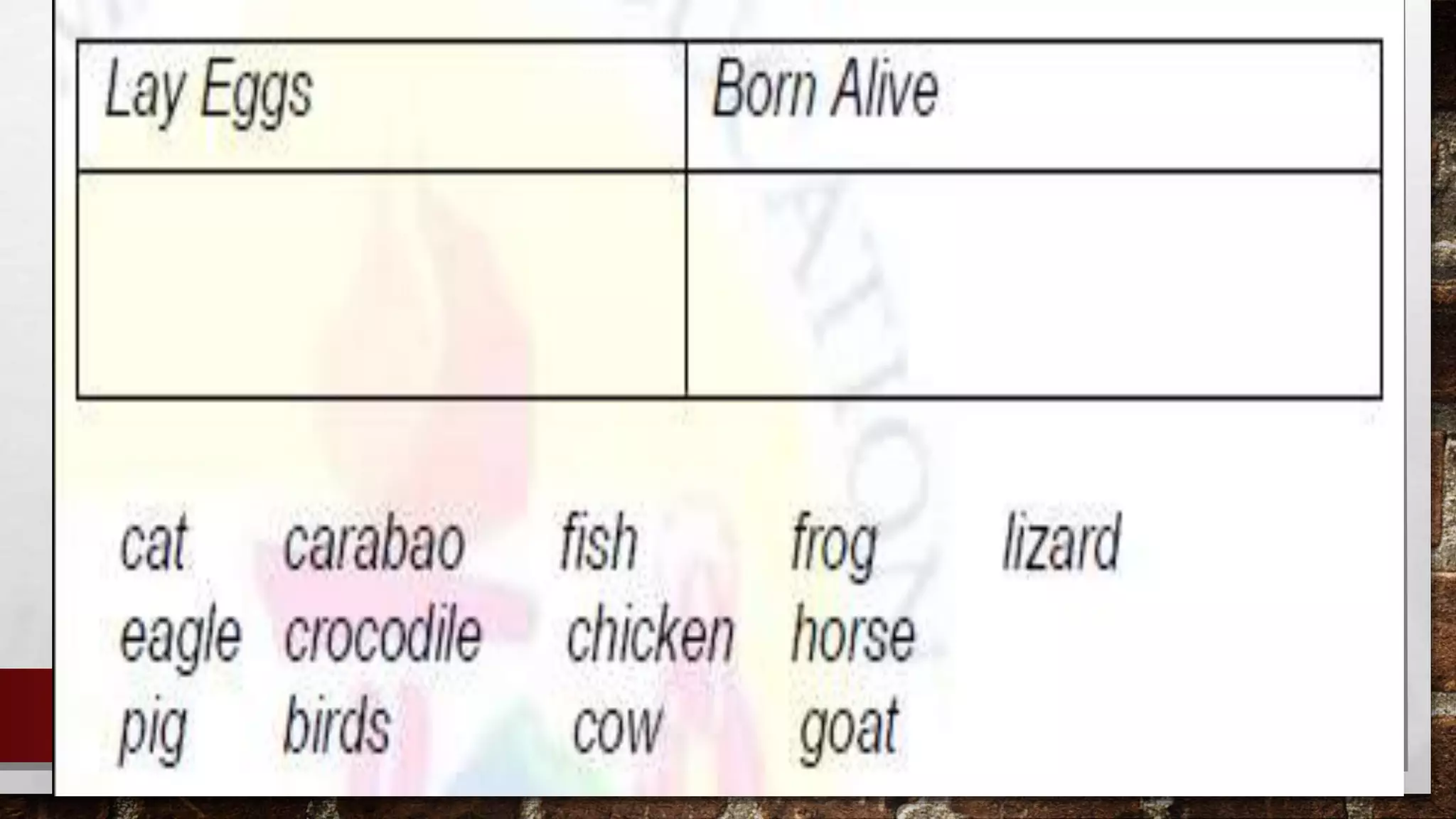 BORN ALIVE-EGGS.pptx