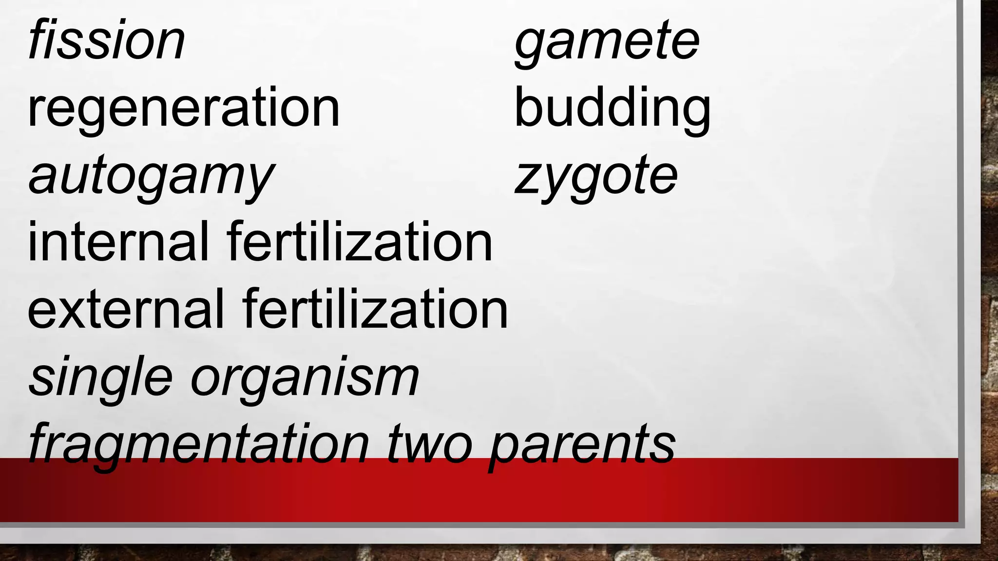 BORN ALIVE-EGGS.pptx