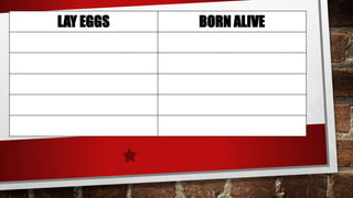 BORN ALIVE-EGGS.pptx