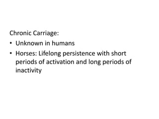 BORNA VIRUS.pptx for educational purposes | PPTX