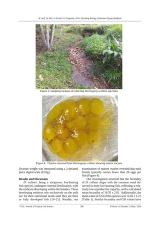 Unlocking the mysteries of reproduction: Exploring fecundity and ...