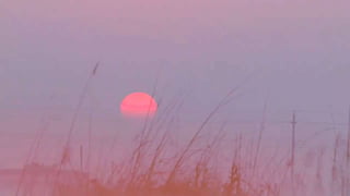 Solution of Traffic Jam | PPT