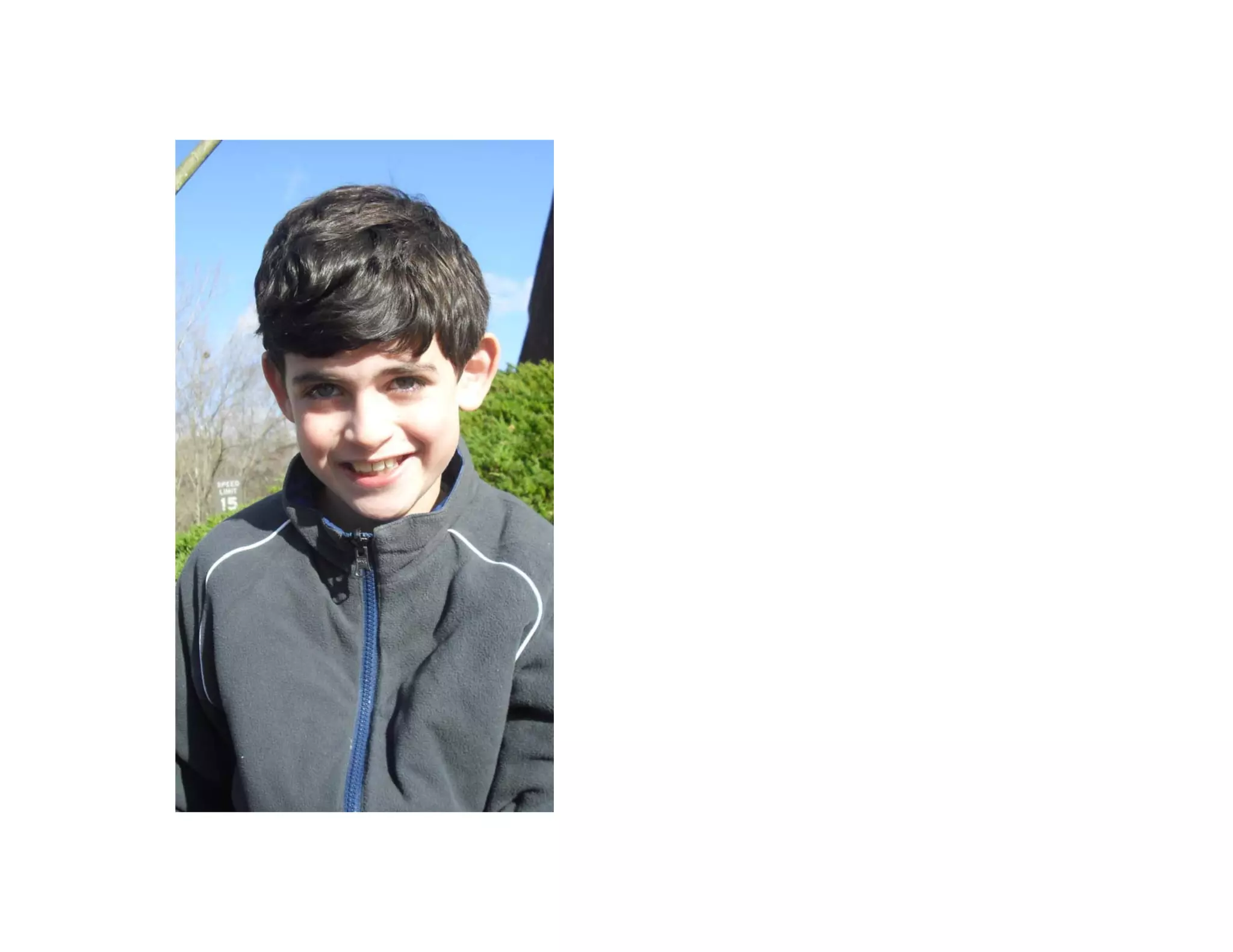 Joshua Bornstein and Family | PDF