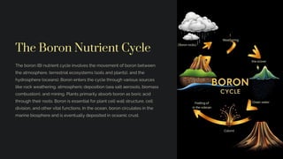 BORON ppt Introduction, advantages and disadvantages | PDF