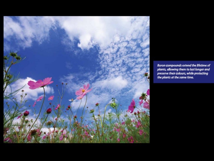 Boron and Boron in Turkey | PPT