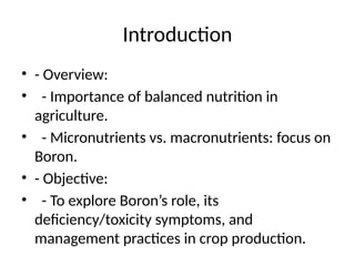 Boron_Nutrition_in_Crop_Production_Presentation.pptx