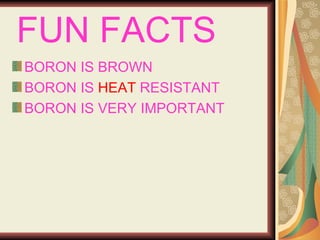 Boron The Moron Kk | PPT