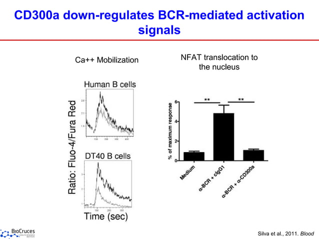 The CD300 molecules: an emerging family of regulators of the Immune ...