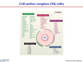 The CD300 molecules: an emerging family of regulators of the Immune ...