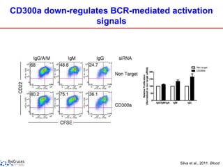 The CD300 molecules: an emerging family of regulators of the Immune ...