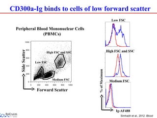 The CD300 molecules: an emerging family of regulators of the Immune ...