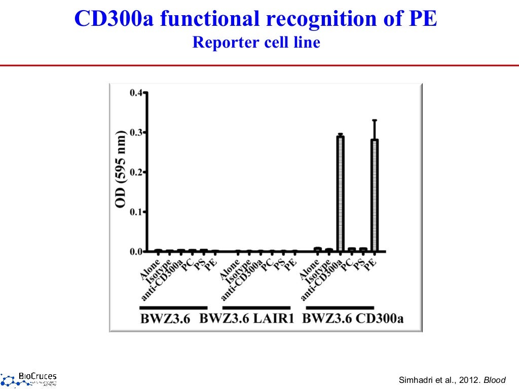 The CD300 molecules: an emerging family of regulators of the Immune S…