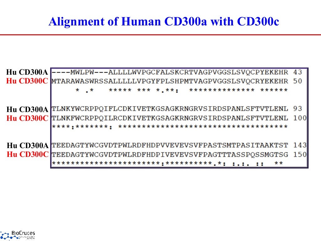 The CD300 molecules: an emerging family of regulators of the Immune S…