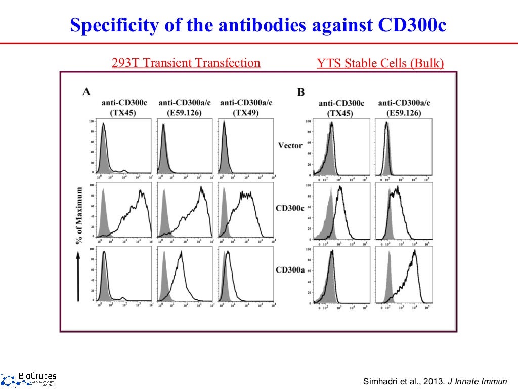 The CD300 molecules: an emerging family of regulators of the Immune S…