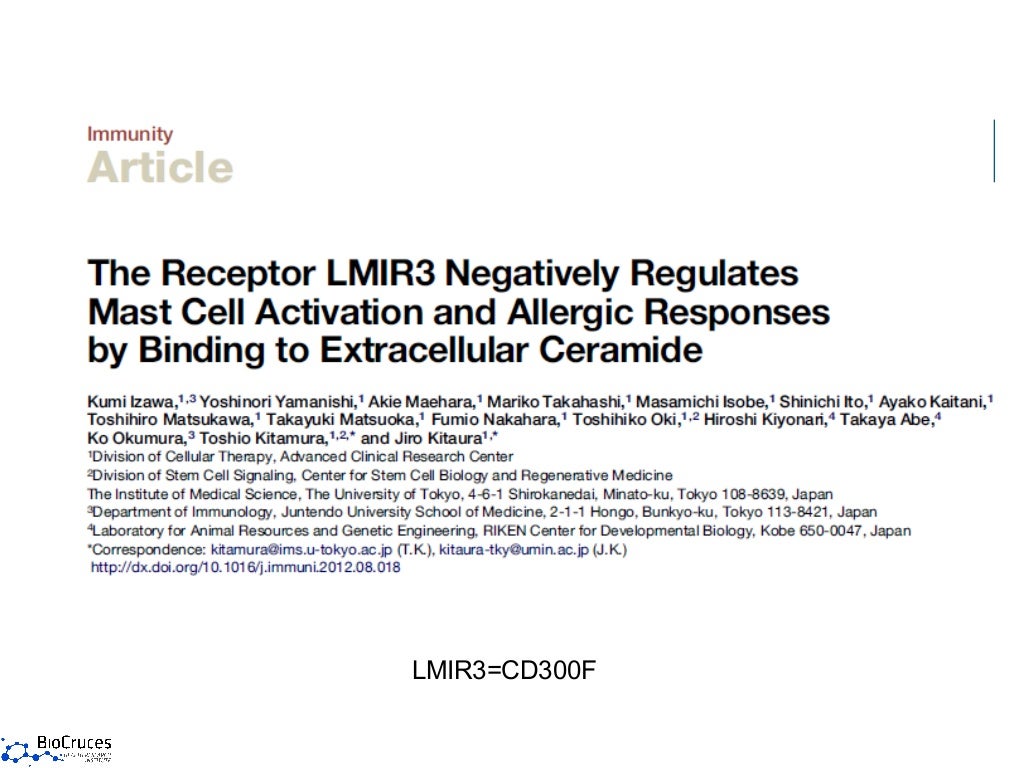 The CD300 molecules: an emerging family of regulators of the Immune S…