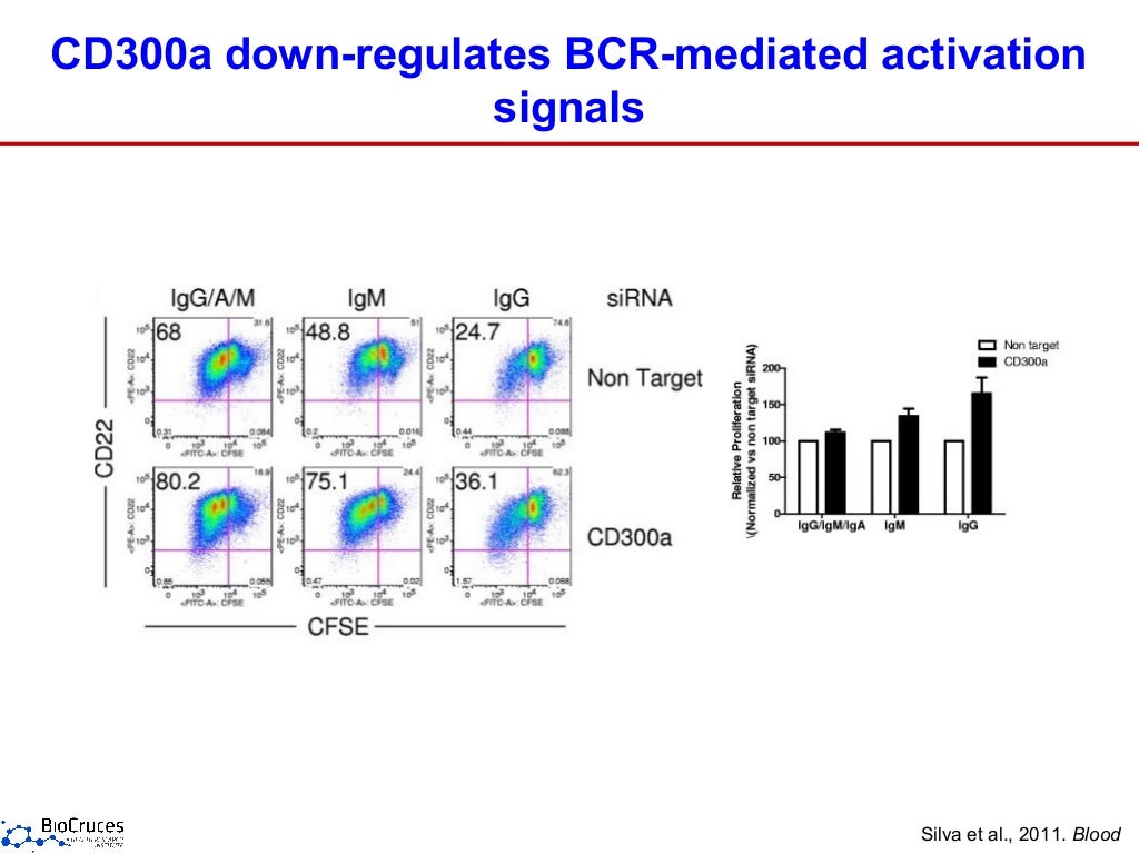 The CD300 molecules: an emerging family of regulators of the Immune S…