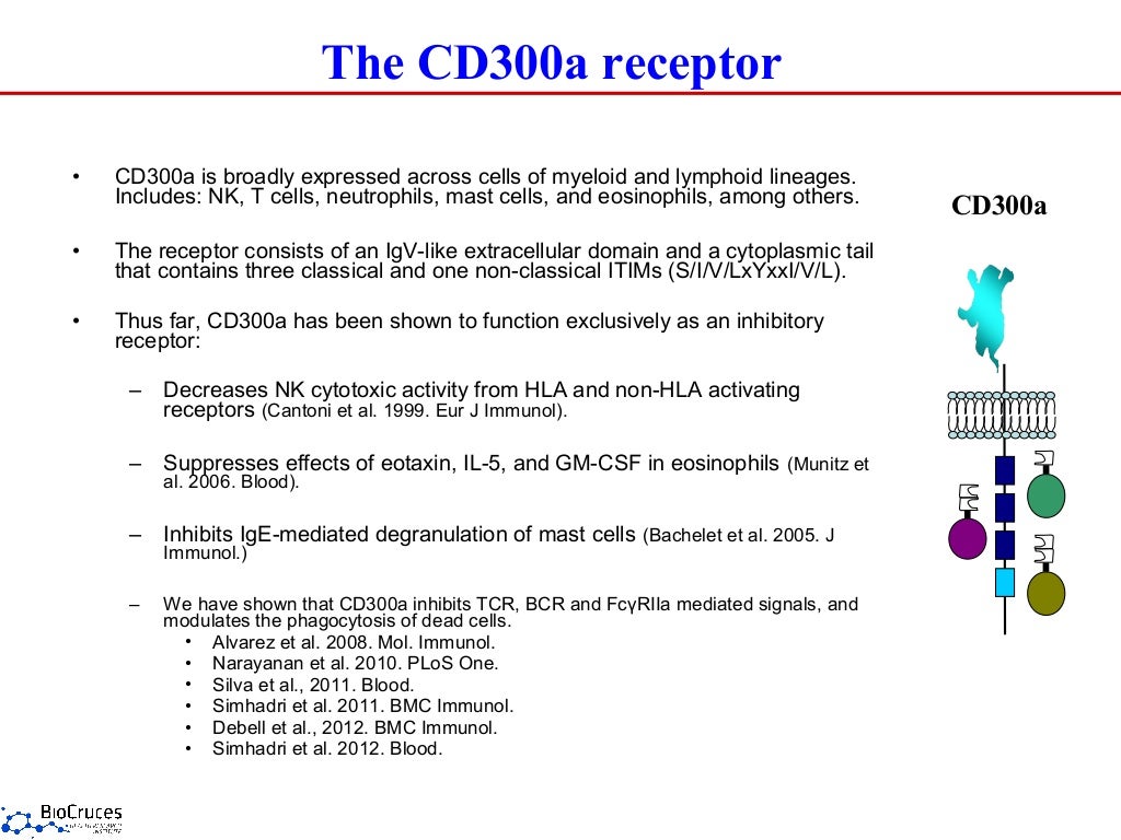 The CD300 molecules: an emerging family of regulators of the Immune S…