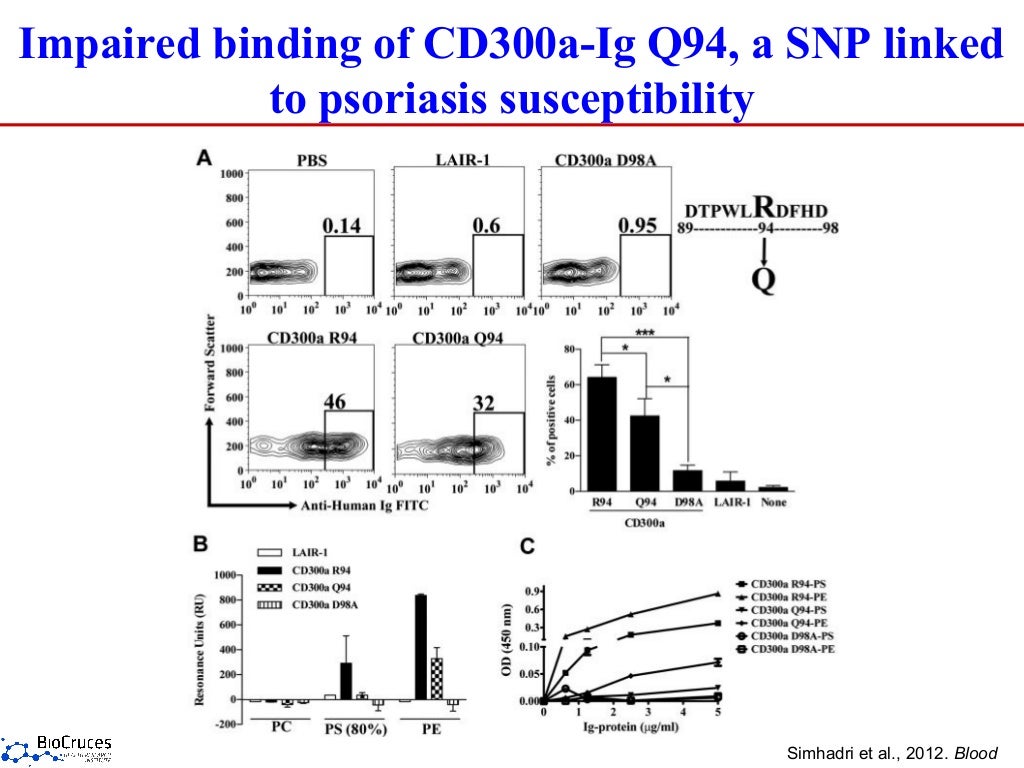 The CD300 molecules: an emerging family of regulators of the Immune S…