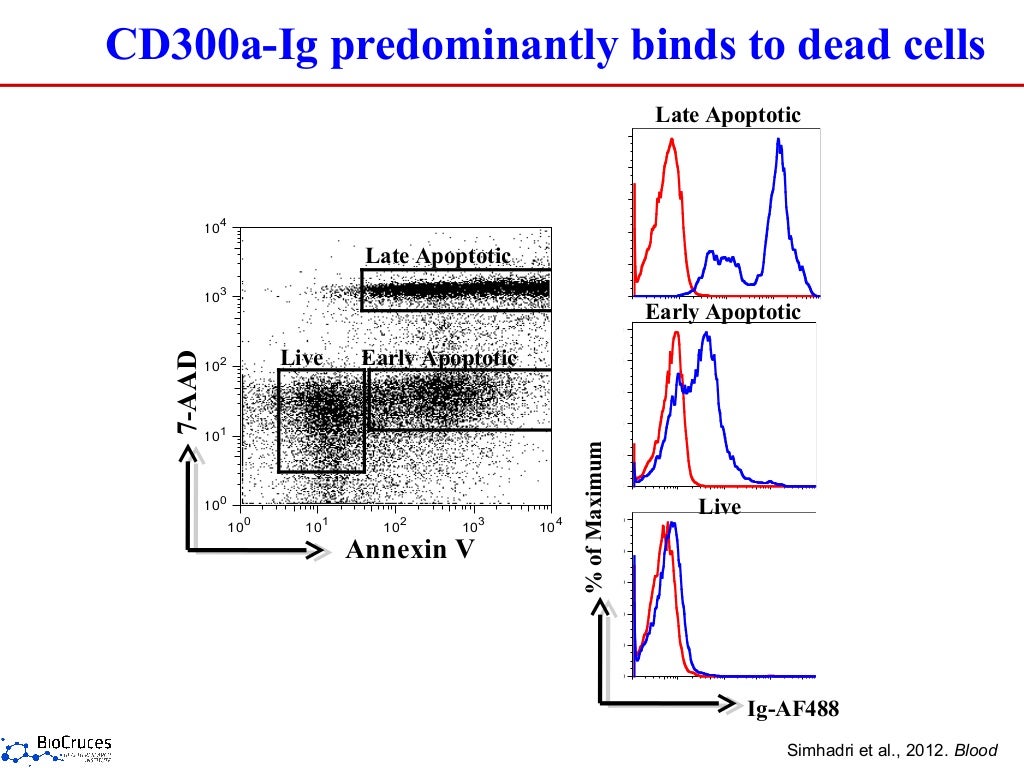 The CD300 molecules: an emerging family of regulators of the Immune S…