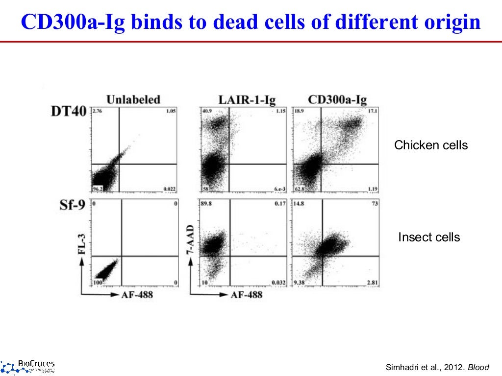 The CD300 molecules: an emerging family of regulators of the Immune S…